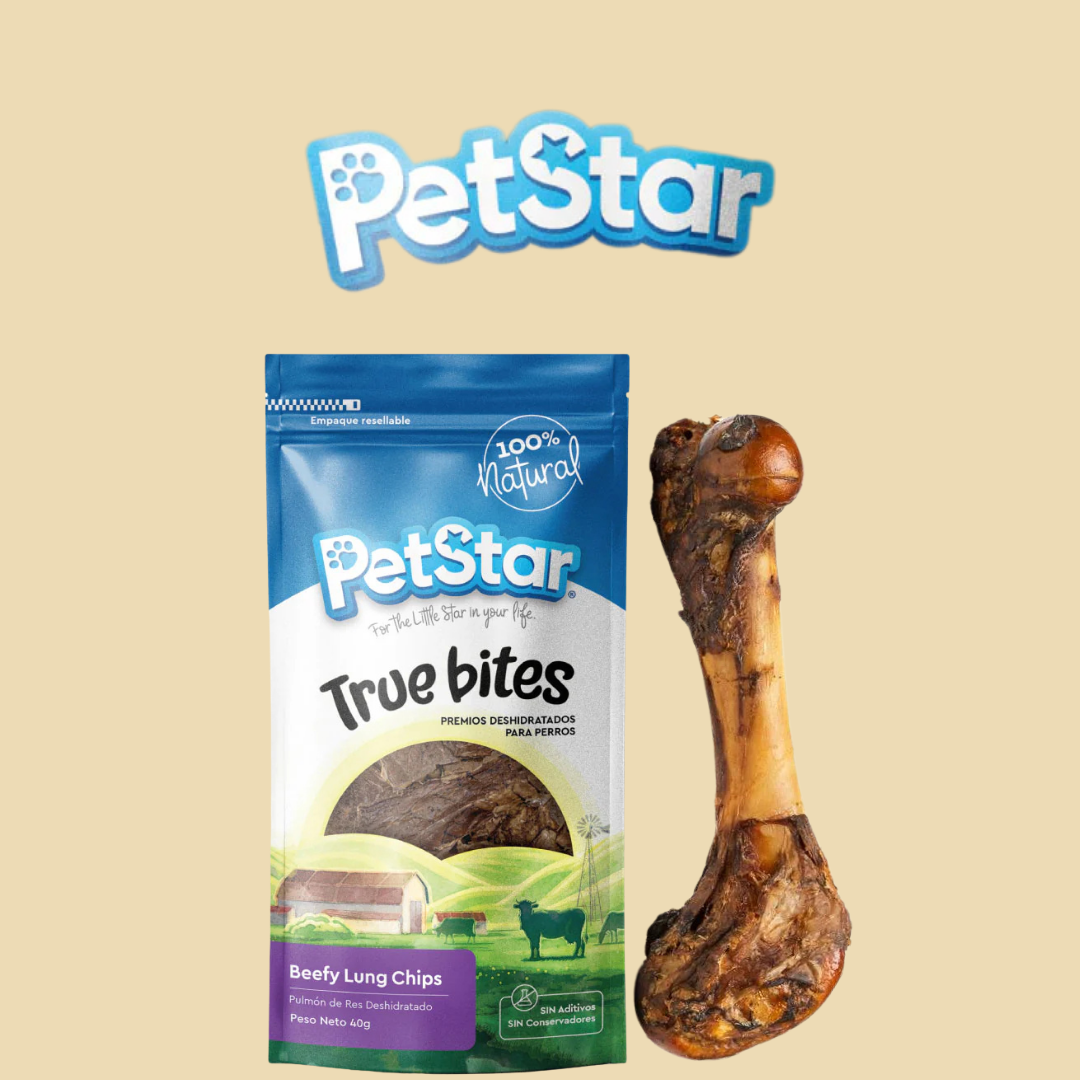 Pet Stars – La Kroqueteria